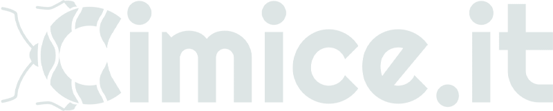 Guida Completa alla Cimice Pomodoro: Chi è e Come Eliminarla